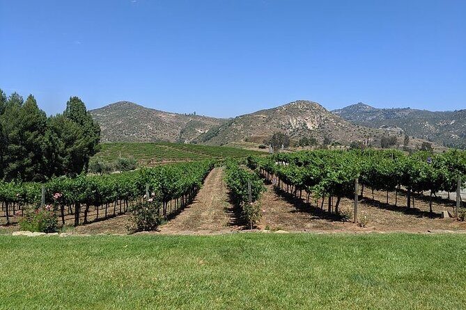 Chauffeured Adventure to Local San Diego Vineyards - The Experience: What Sets This Tour Apart