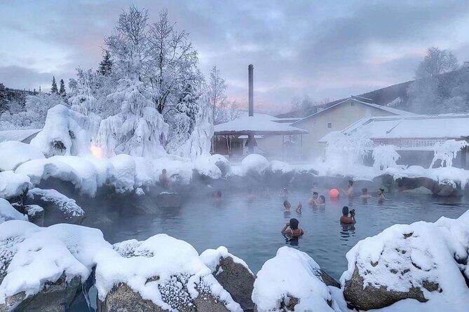 Chena Hot Springs Day Tour with transportation - What Travelers Should Know