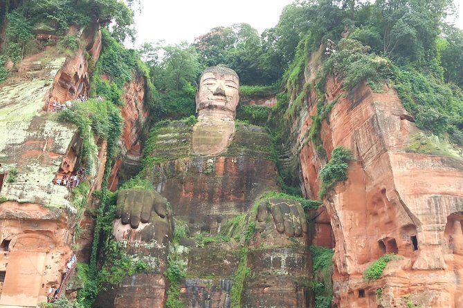 Chengdu Private Panda Trip with Afternoon Private Custom Tour - The Cost and Overall Value