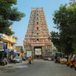 Chennai in a Day: Private Guided Full-Day Sightseeing Tour - Who Will Love This Tour?