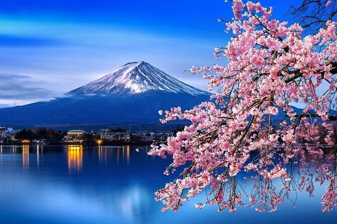 Cherry Blossom Mount Fuji Customizable Luxury vehicle Guided Tour - What Travelers Can Expect