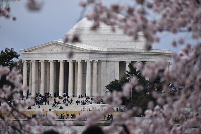 Cherry Blossom Private Bus Tour of Washington DC - Who Is This Tour Best For?