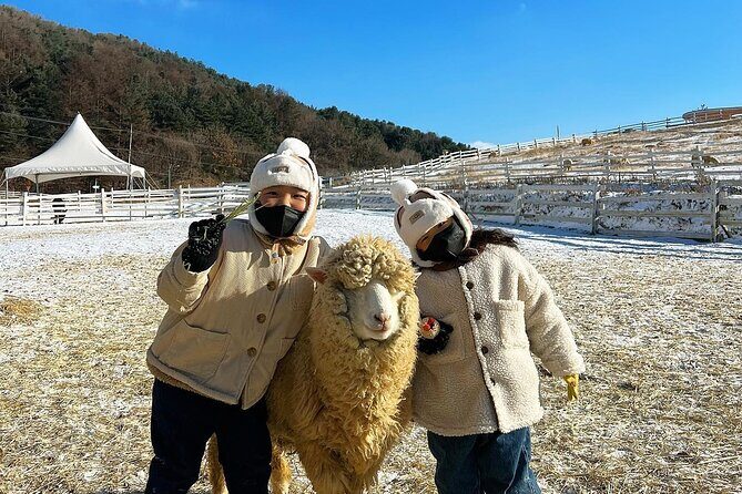 [Cherry blossom]Gyeongju Tour from SEOUL transfer to BUSAN - Practical Insights