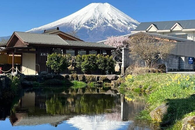 Cherry Blossoms on Mt. Fuji Day Trip with English Speaking Driver - Who Will Appreciate This Tour Most?