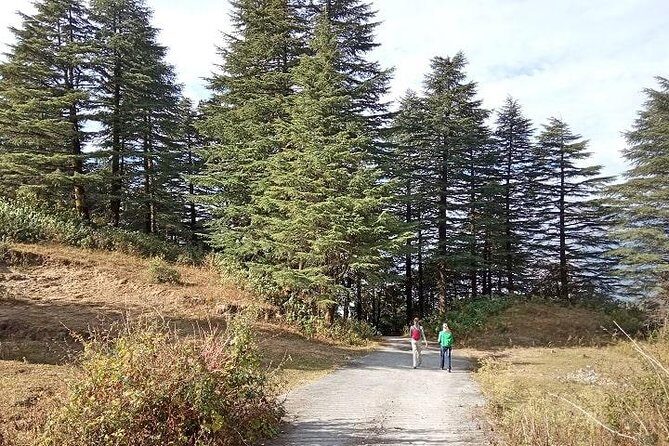 Chhaskhet Nature Walk - Is It Right for You?