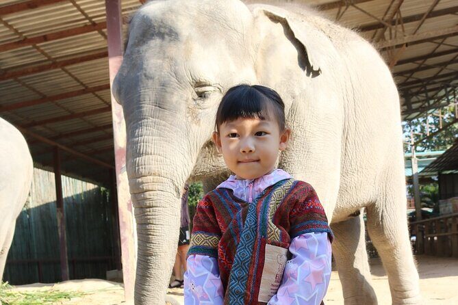 Chiang Mai Elephant Sanctuary Small Group Ethical Tour - Who Will Enjoy This Tour?