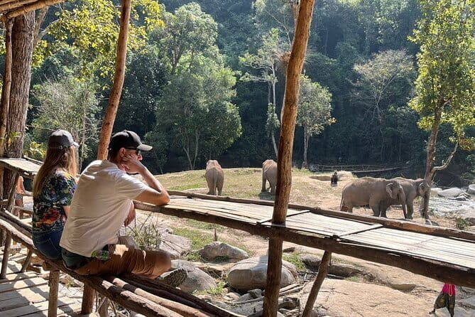 Chiang Mai Elephant Watch and Wang River Rafting - The Sum Up: Is This Tour Right for You?
