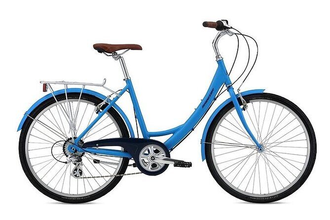 Chicago Half-Day Bike Rental - Exploring the Itinerary and Key Stops