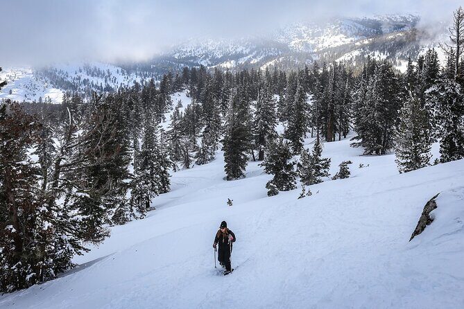 Chickadee Ridge Beginner Snowshoe Activity - Itinerary Breakdown