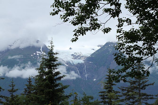 Chilkat Inlet Coastal Hike in Haines - The Sum Up