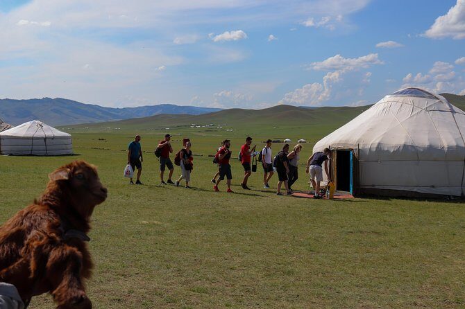Chinggis Khaan Statue Complex and Terelj National Park 1 day - Practical Details: What the Tour Entails