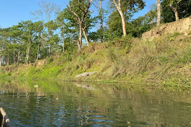 Chitwan Jungle Safari with Overnight Stay - What’s Included and What’s Not