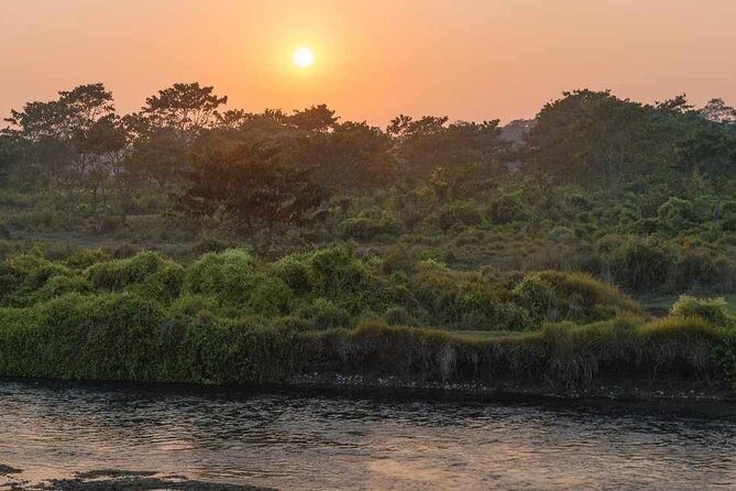 Chitwan National Park Jungle Safari Tours 3 days - Who Should Consider This Tour?