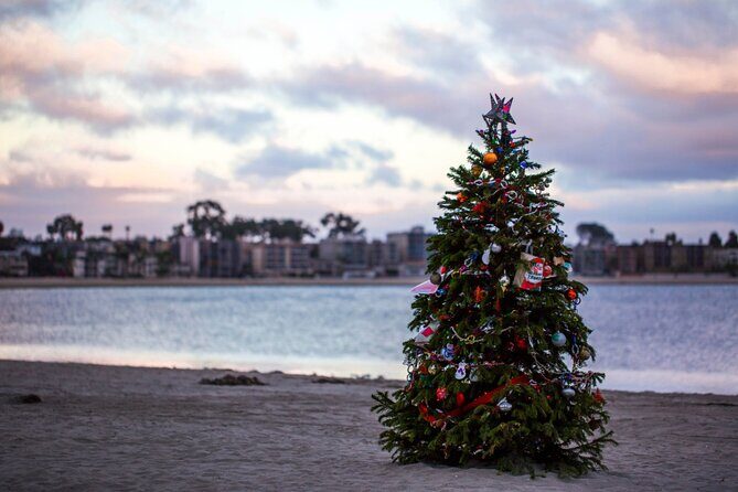 Christmas Time in San Diego - Walking Tour - Authenticity and Experience: What Travelers Can Expect