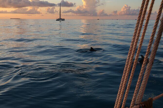 Classic Key West Schooner Sunset Sail with Full Open Bar - The Full Breakdown: What Makes This Tour Worth It