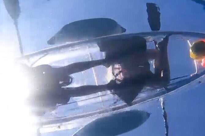 Clear Bottom Glassy Kayak Rental | MAUI | Safe and Stable Kayaks - Meeting Points and Logistics