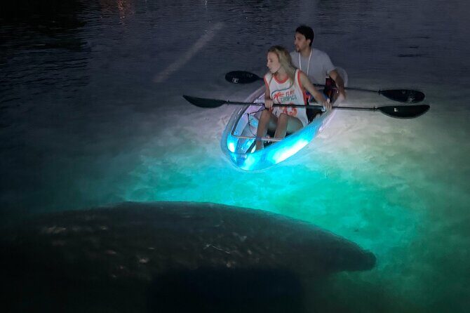 Clear Kayak Manatee Viewing Sunset and Glow Tour of Crystal River - Authentic Experiences & Authentic Guides