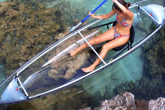 Clear Kayak Private Guided Day and Night Tours in Florida - Logistics and Practicalities