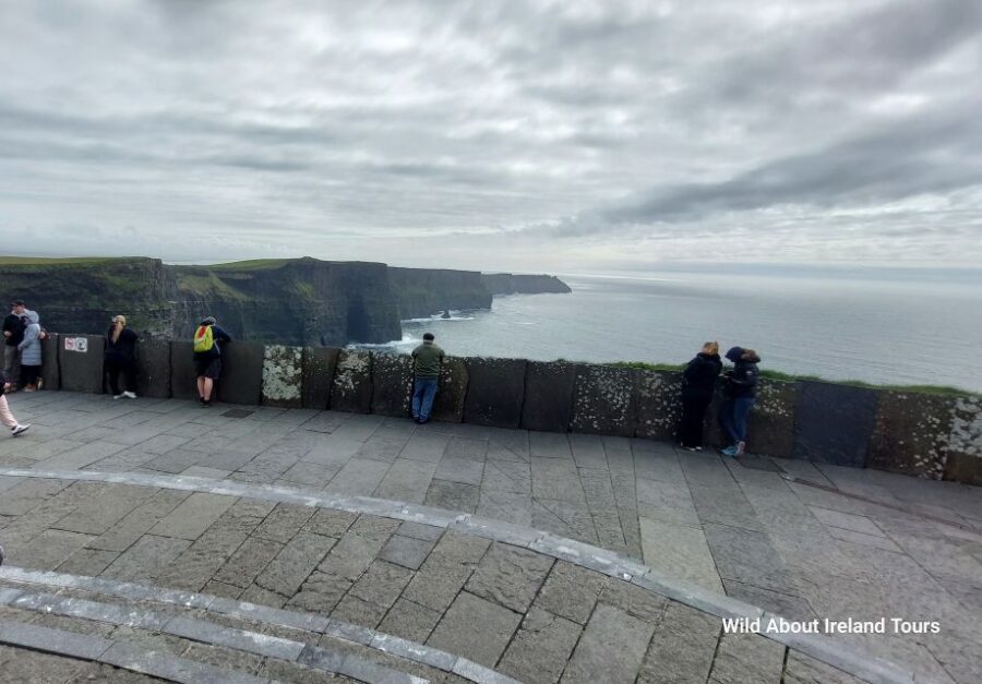 Cliffs of Moher and National Park Private Limousine Tour - The Logistics: What to Expect