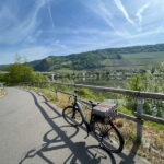 Cochem: Bike and Boat Tour with Picnic and Wine Tasting - The Practical Side: What You Need to Know