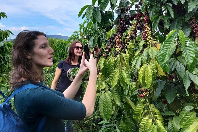 Coffee - Wine - Tea: Dalat Treasures tour - Detailed Breakdown of the Itinerary