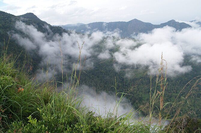 Coimbatore to Ooty- transfers+Hotel+Sightseeing - Authenticity and Traveler Feedback