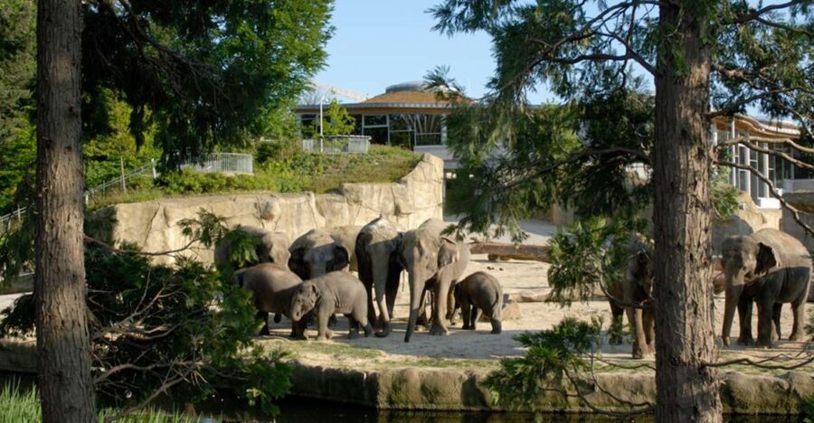 Cologne: Cologne Zoo and Aquarium Entry Ticket - What Makes This Zoo Special?