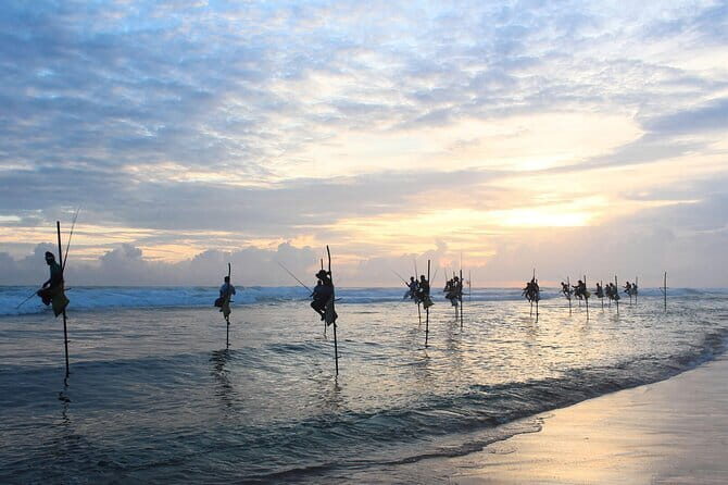 Colombo to Galle All Inclusive Private Day Tour - Madu River Boat Safari