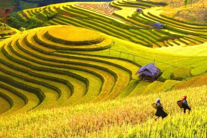 Colors of Sapa - Vietnam 2 Days Tour - The Itinerary Breakdown: What You Can Expect