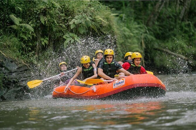 COMBO PACKAGE: Ayung River Rafting and Ubud Tour - A Deep Dive into the Bali Combo Tour