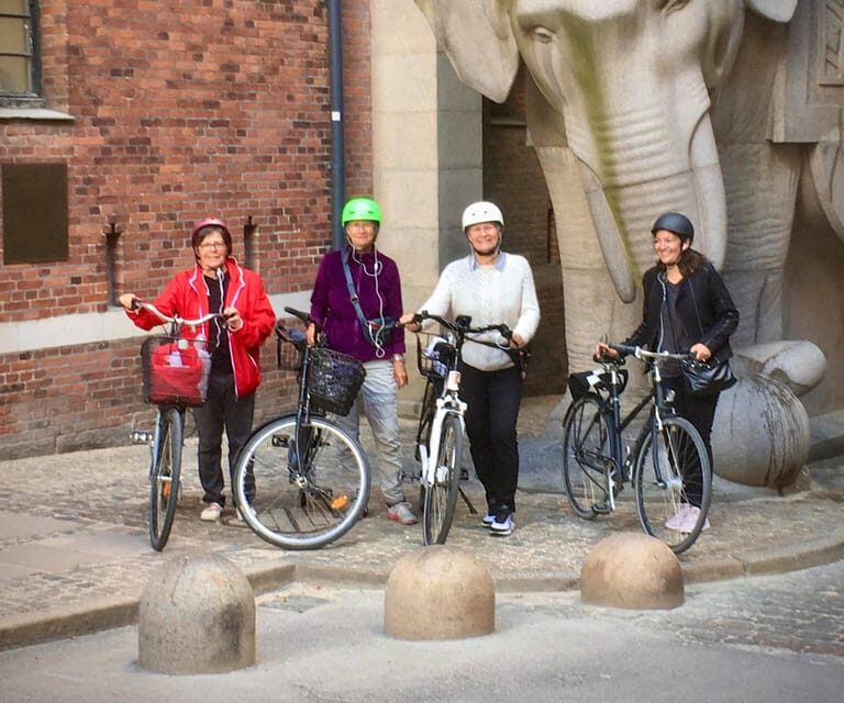 Copenhagen: 2,5-Hour 'Must See' Bike Tour with a Local Guide - What to Expect During the Tour