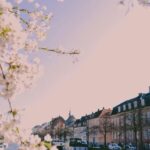 Copenhagen: Danish-Jewish History Tour - An In-Depth Look at the Copenhagen Jewish History Tour