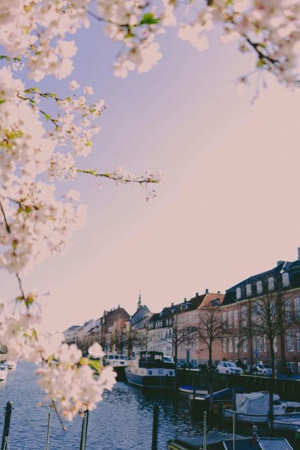 Copenhagen: Danish-Jewish History Tour - An In-Depth Look at the Copenhagen Jewish History Tour