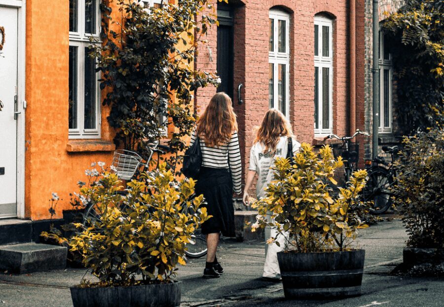 Copenhagen: Hygge & Highlights Walking Tour with Local Guide - An In-Depth Look at the Tour Experience