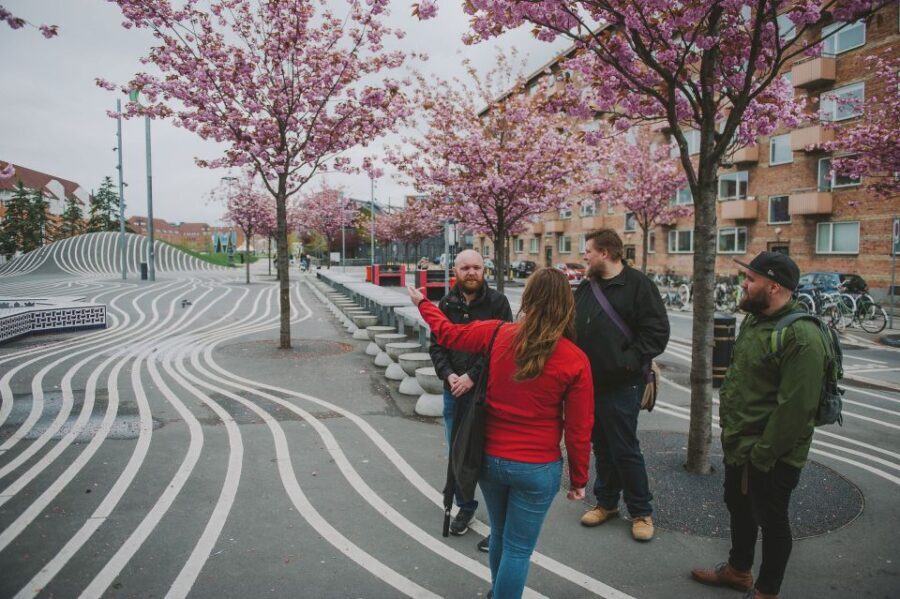 Copenhagen: Nørrebro Neighborhood Tour - Exploring Nørrebro: What to Expect