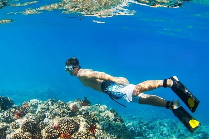 Coral Island Banana Beach Snorkeling and Clear Kayak Tour - What We Loved and What to Keep in Mind