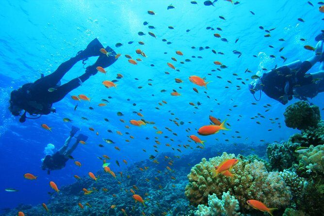 Coral Island Half-day Tour - The Itinerary: What to Expect