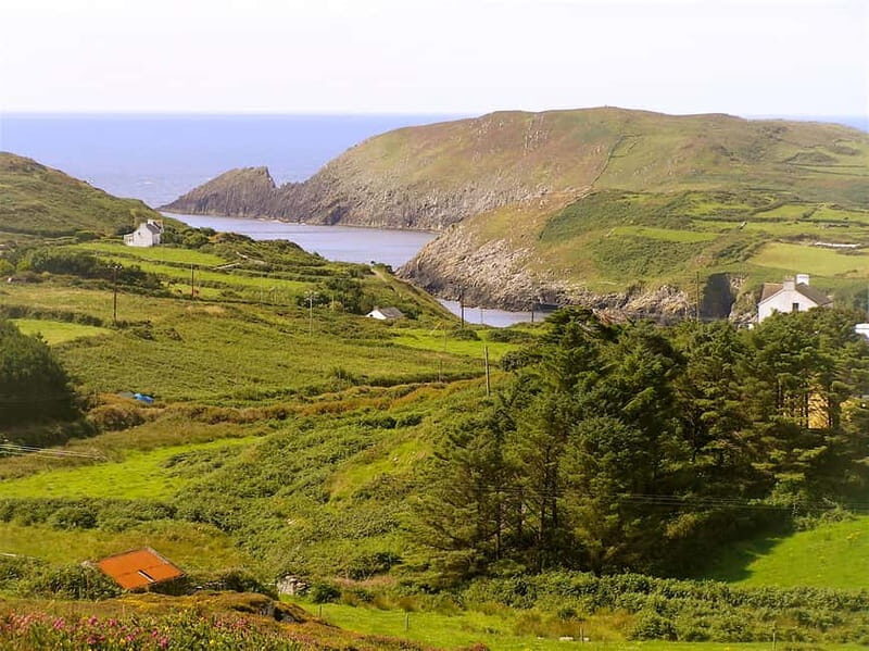 Cork: Fastnet Rock Lighthouse and Cape Clear Island Tour - What Makes This Tour Stand Out?