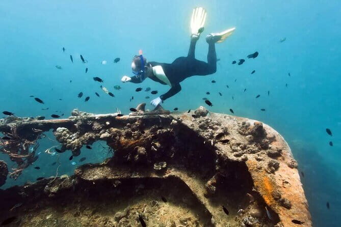 Coron Reefs and Wrecks Tour - Authentic Experiences and Practical Tips