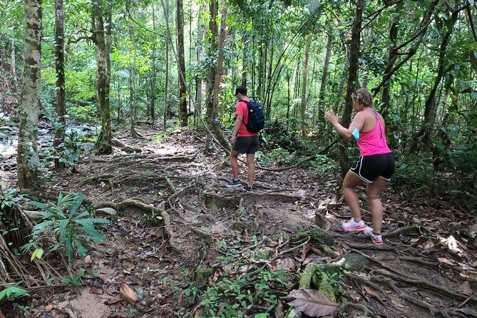 Country Side Cycling and treking to the waterfall (Private tour ) - Analyzing the Value and Practicalities