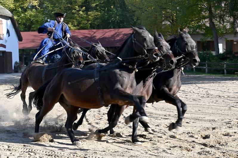 Countryside ranch, horse show & lunch - Analyzing the Value