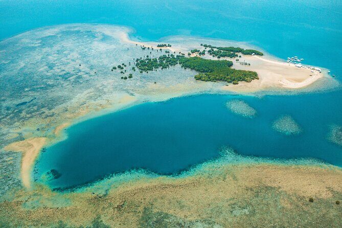 Cowrie Island (Honda Bay) Full-day Shore Excursion - Pricing and Value