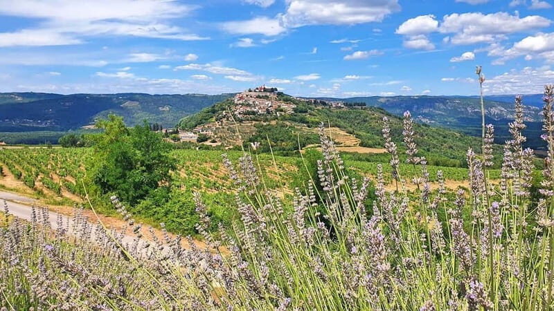 Croatia, Istria: 7-Day Premium Cycling & Gourmet E-Bike Tour - The Scenic and Cultural Highlights