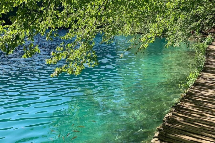 Croatia: Plitvice Lakes Private Tour with Hotel Pickup - The Value of This Tour