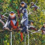 Cuc Phuong National Park Group Day Tour - What the Reviews Say