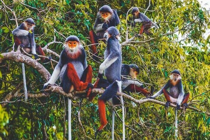 Cuc Phuong National Park Group Day Tour - What the Reviews Say
