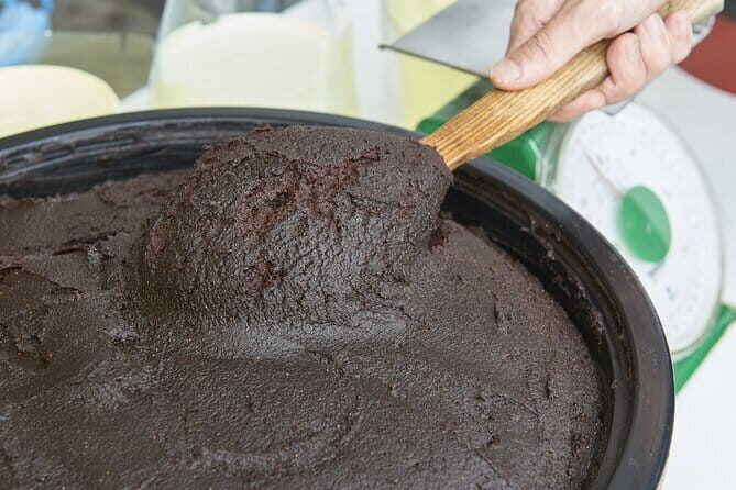 Cultural Odyssey in Okazaki Day Tour - Miso as a Cultural and Culinary Treasure: Maruya Hatcho Miso