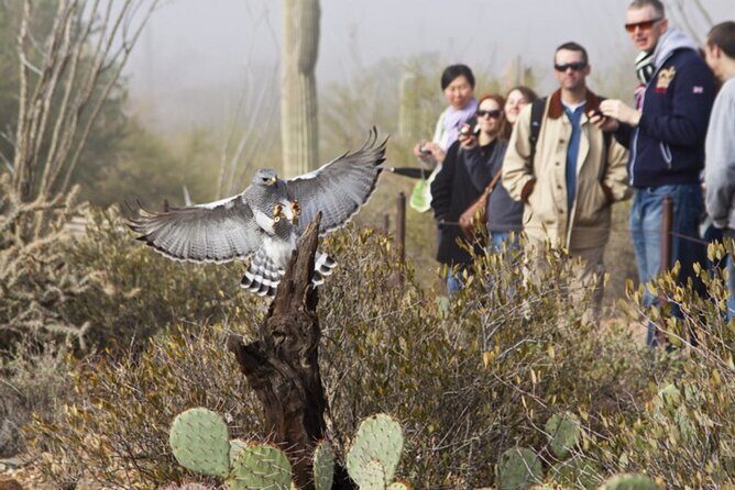 Custom Tucson Day Tour from Phoenix - The Sum Up