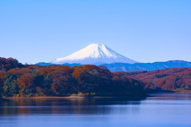 Customizable 10 Hour Private Tour from Tokyo to Mount Fuji - Transportation and Comfort