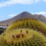 Customized Private Tours of Lanzarote island - Practical Details and What to Expect